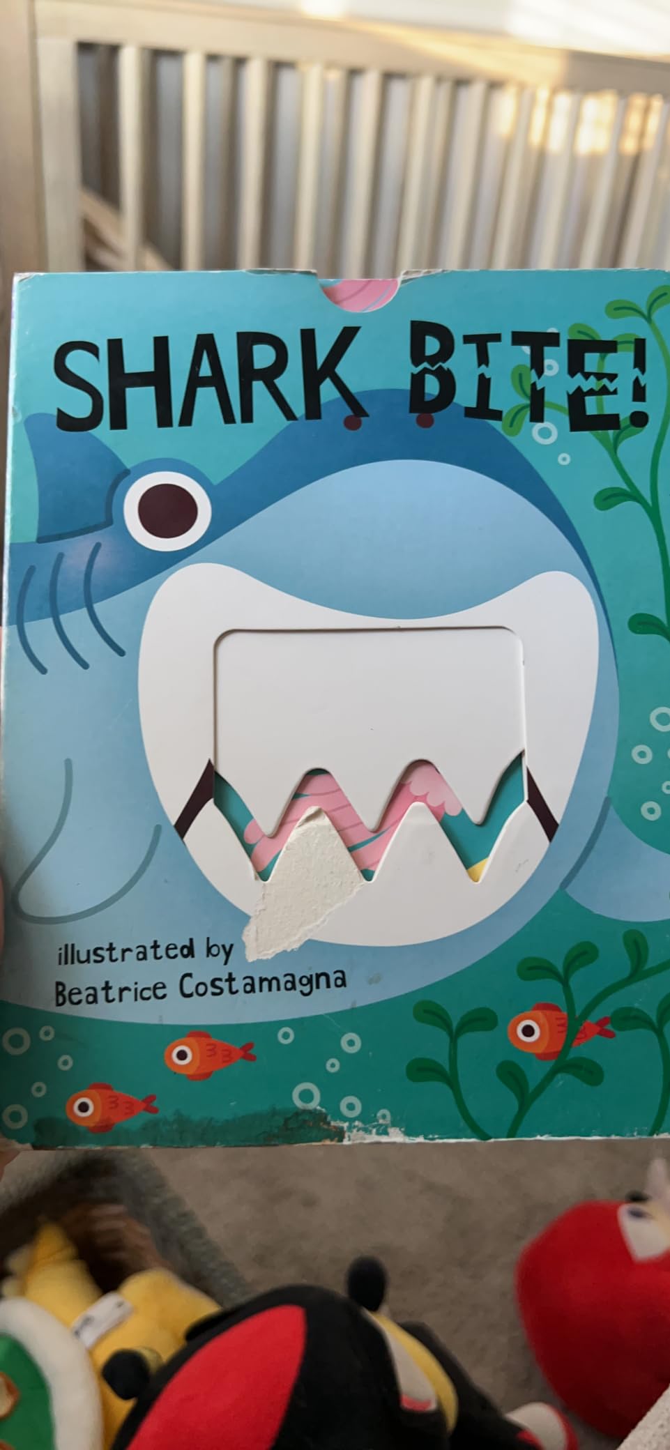 Shark Bite! (Crunchy Board Books): Little Bee Books, Costamagna ...