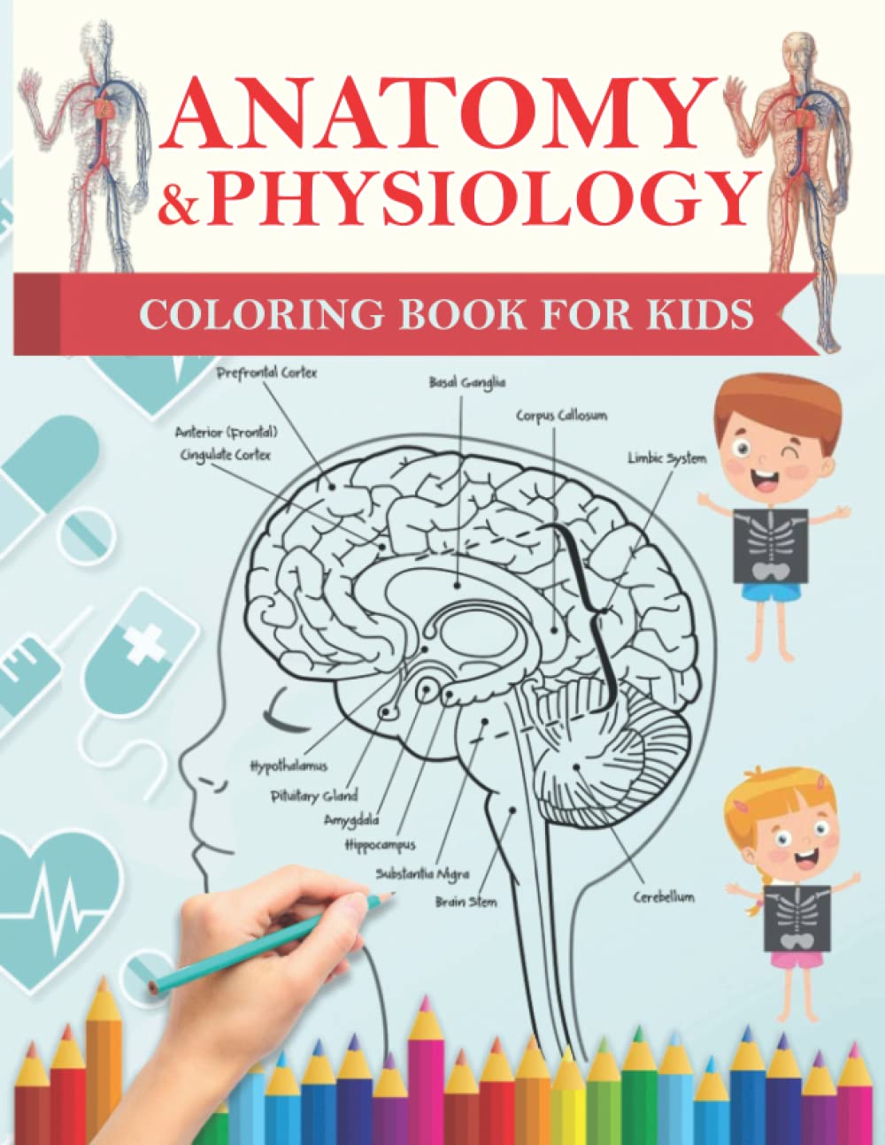 Anatomy And Physiology Coloring Book For Kids 30 Human Body | Desertcart GB