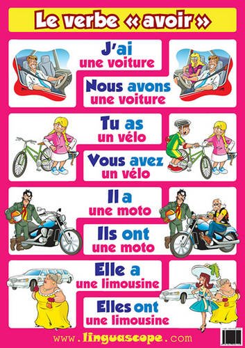 Le Verbe 'avoir': Derone, Stephane: 9781847950154: Books - Amazon.ca