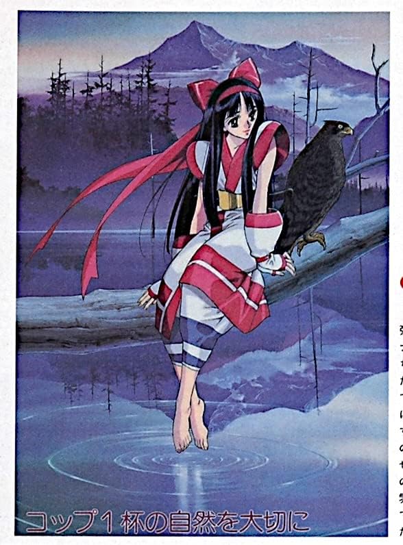 Amazon.co.jp: 1990s Game Charge? SAMURAI SPIRITS NACORURU Cutout A4 4P ...