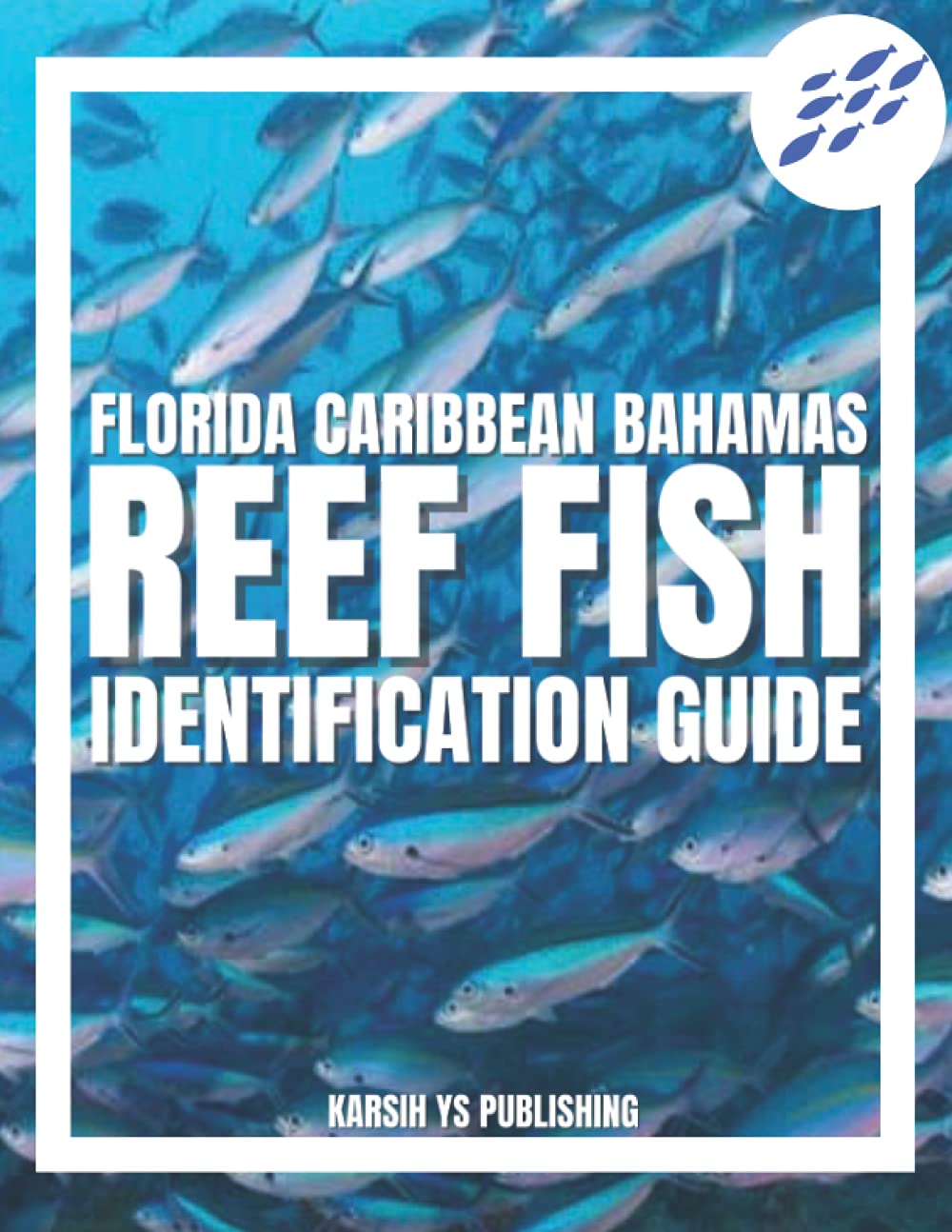 Buy Reef Fish Identification Guide : Florida Caribbean Bahamas Online ...