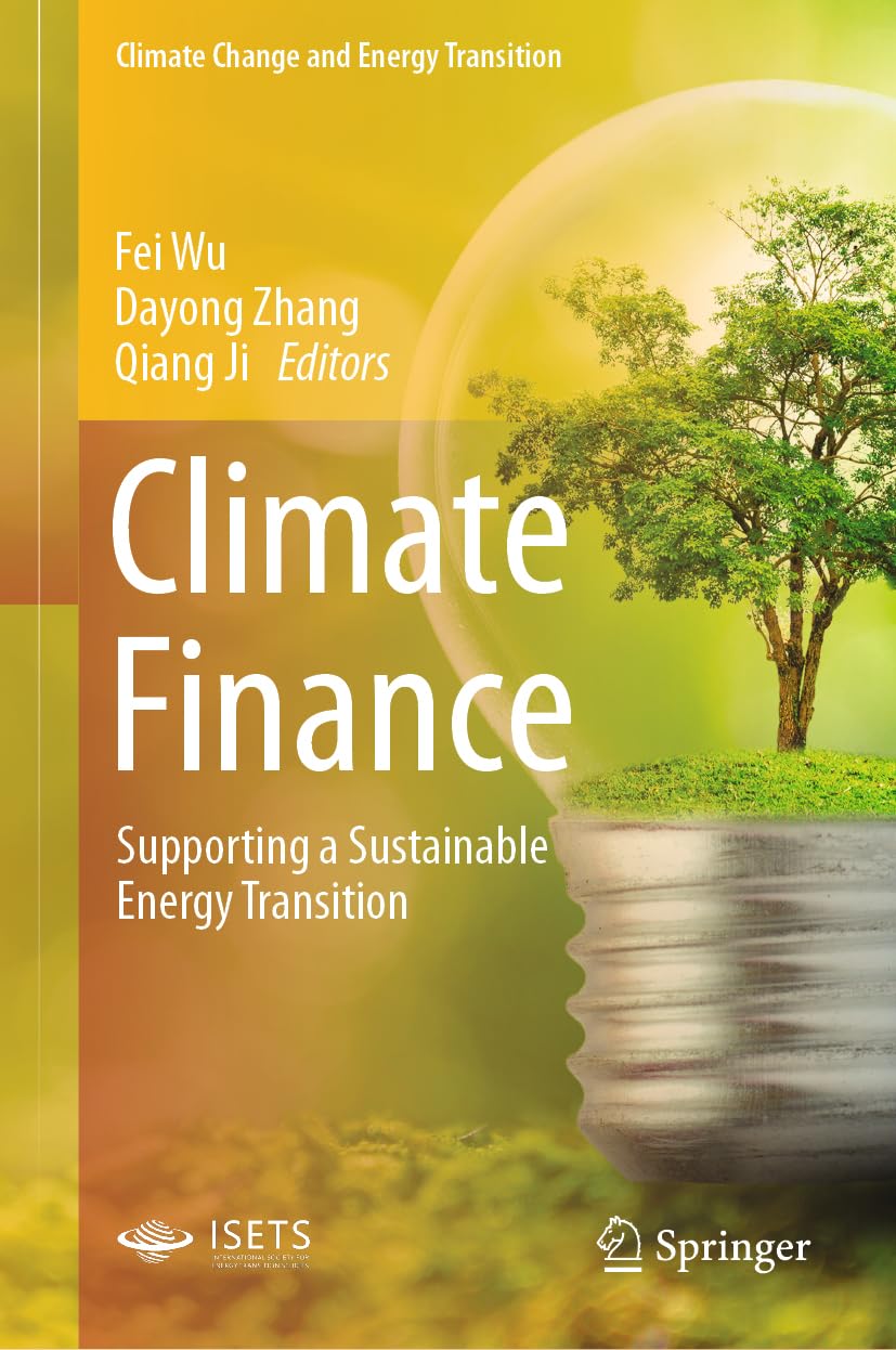 Buy Climate Finance: Supporting a Sustainable Energy Transition Book ...