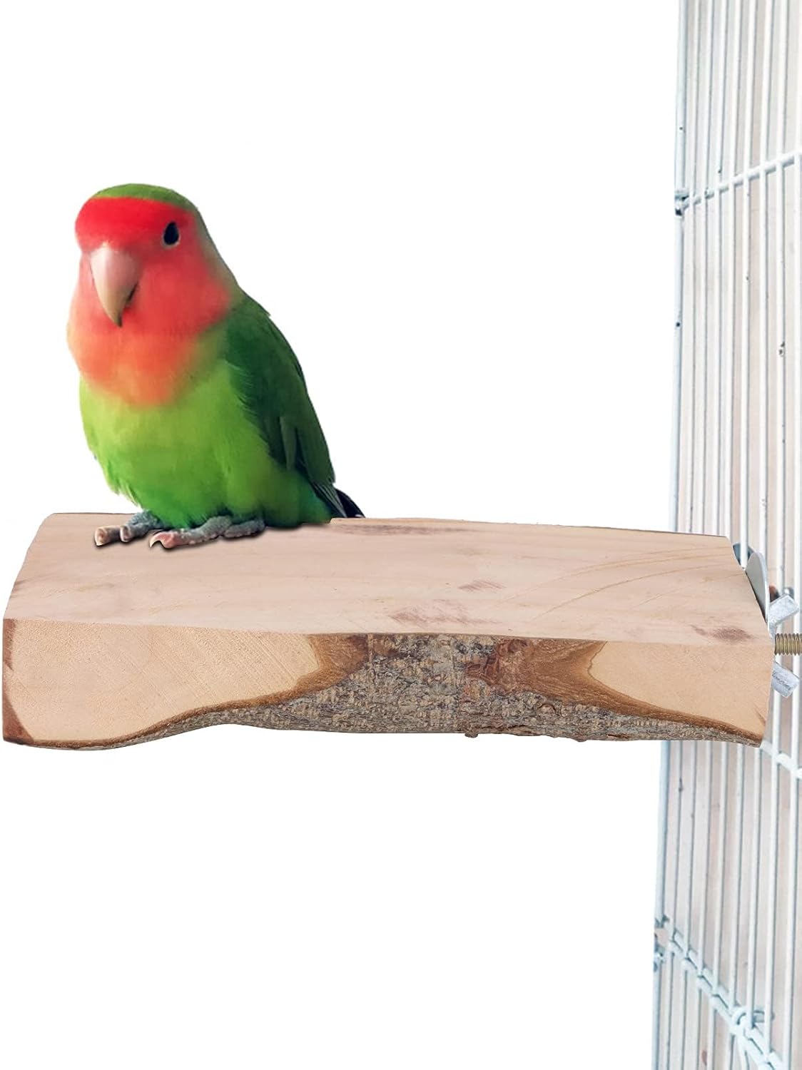 Amazon.com : Bird Perches Parrots Cage Perch Parrot Perch Bird Wood ...