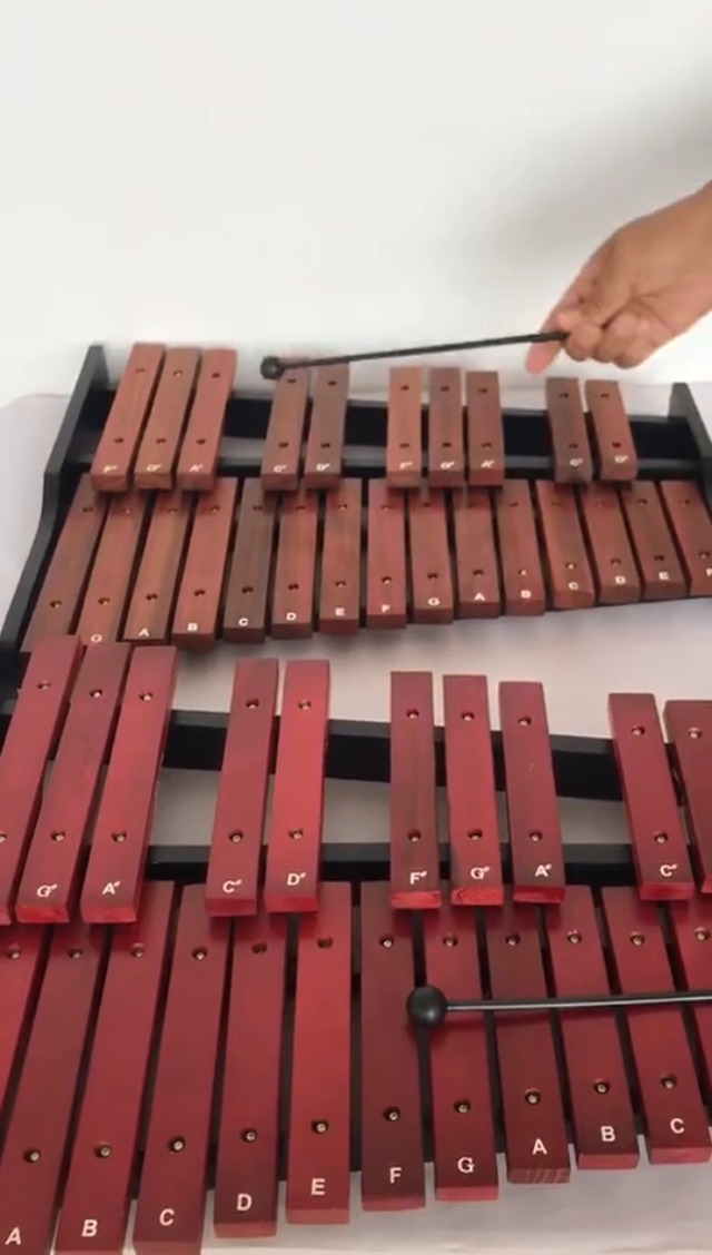 Alto Wood Xylophone Portable Professional 25 Key Xylophone, Adult And ...