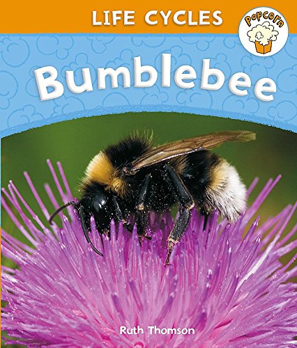Popcorn: Life Cycles: Bumblebee by Ruth Thomson