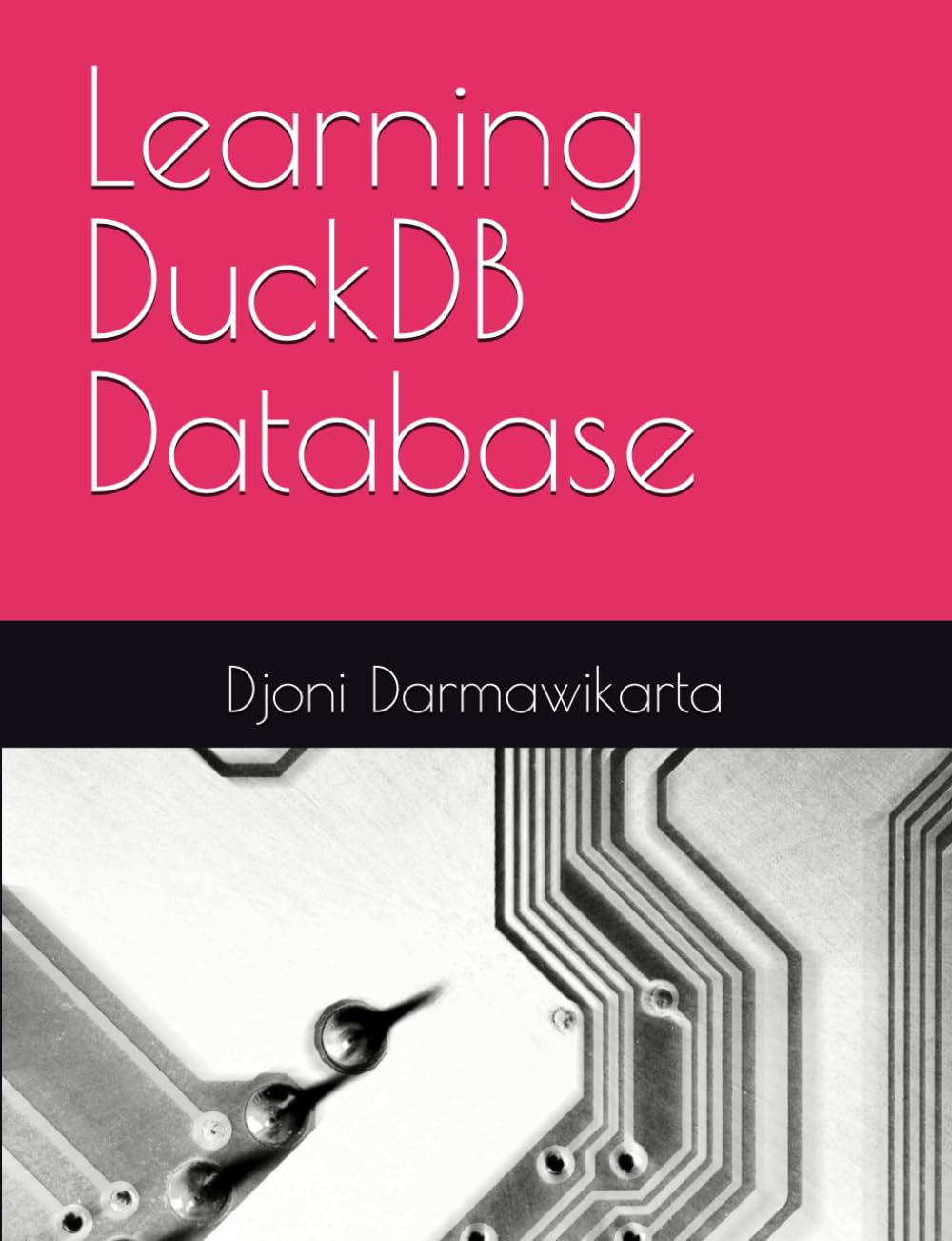 Learning DuckDB Database: Darmawikarta, Djoni: 9798884206915: Amazon ...