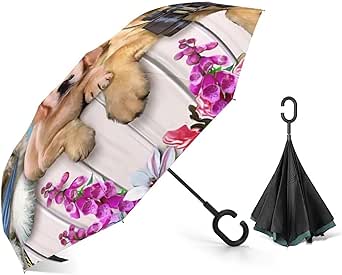 Amazon.co.jp: Long Umbrella, Inverted Umbrella, Dog, Labrador, Stylish ...