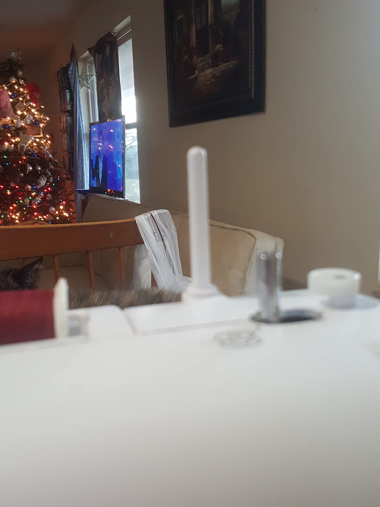 Amazon.com: YRDQNCraft 2Piece Auxiliary Spool Pin R60033210 for Singer ...