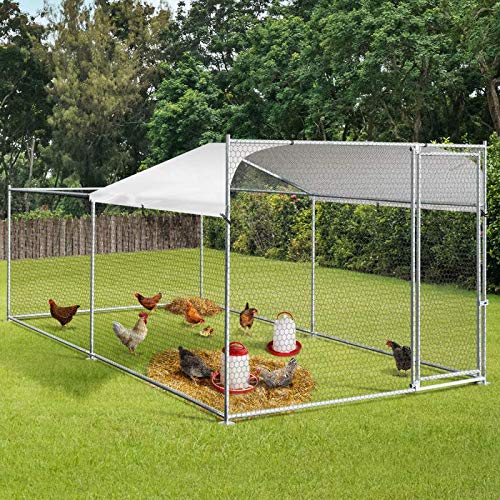 Les 6 meilleures cages à cailles pour un élevage à domicile