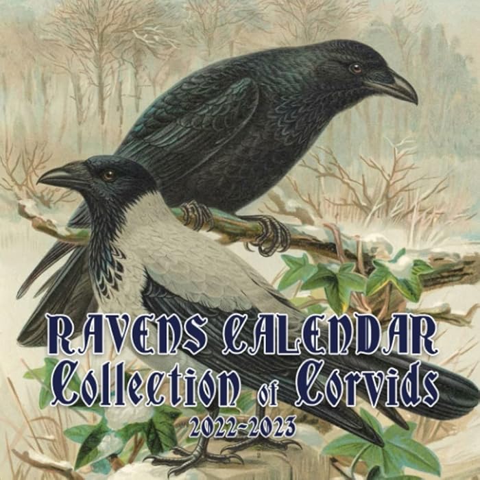 Buy Ravens 2022 Calendar Collection of Corvids: Detailed Pencil Artwork ...