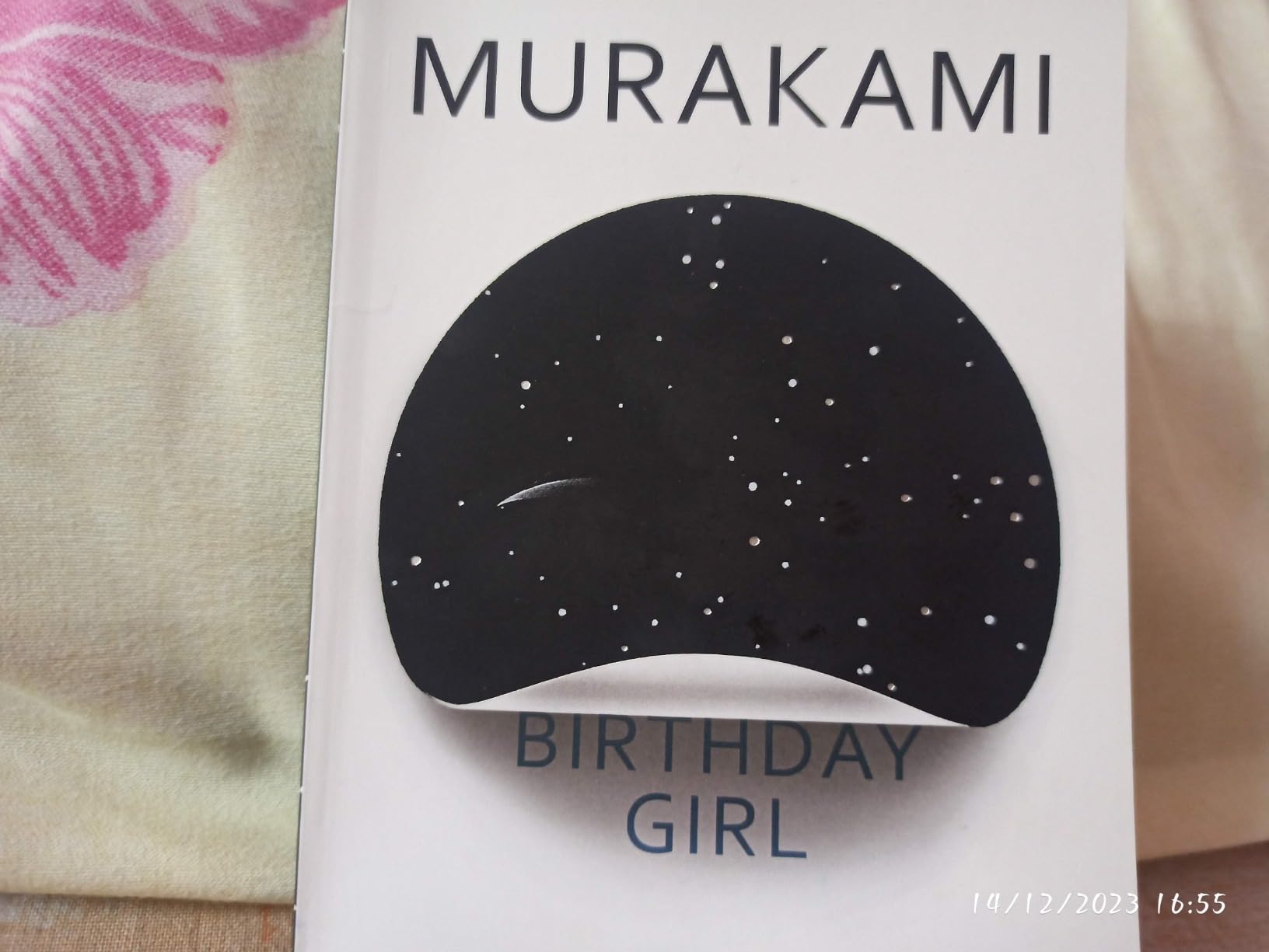 Birthday Girl : Murakami, Haruki: Amazon.in: Books