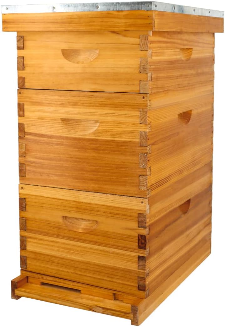 Amazon.com : VEVOR Bee Hive, 10 Frame Complete Beehive Kit, Dipped in ...
