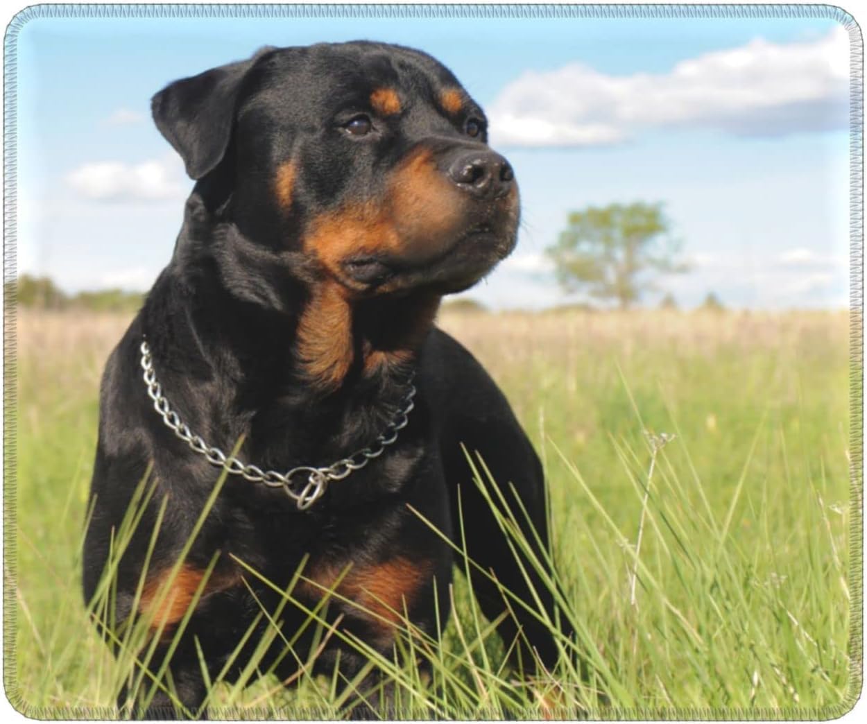 Amazon.com: CosrKee Mouse Pad Rottweiler Cute Puppy Black Dog Print ...