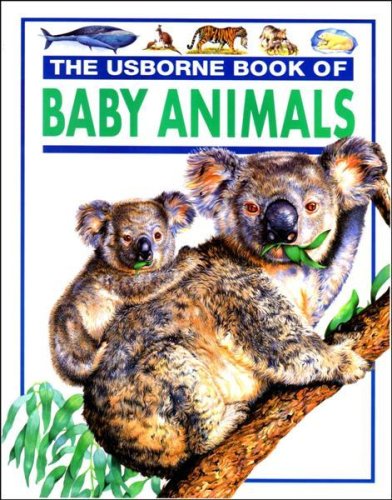 Baby Animals (Young Nature Series): Mayes, Susan: 9780746016527: Amazon ...