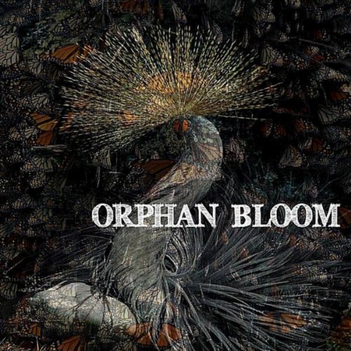 Play Orphan Bloom by Orphan Bloom on Amazon Music