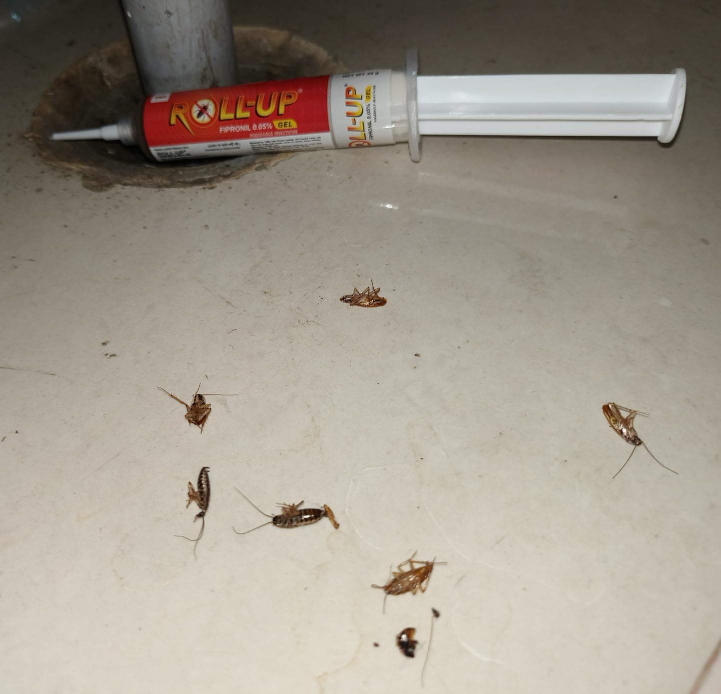 Roll Up® Gel - Cockroach Killer (35g) | Domino Effect | Long Lasting ...