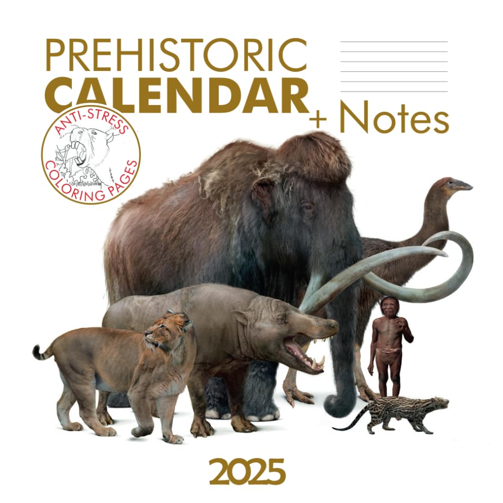Amazon.com: Prehistoric Pocket Calendar 2025 with Notes and Anti-Stress ...