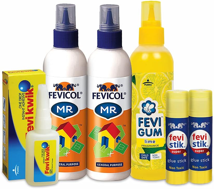 Fevicol Craft and General Adhesives (2 Fevistik 15gm, 2 Fevicol MR ...