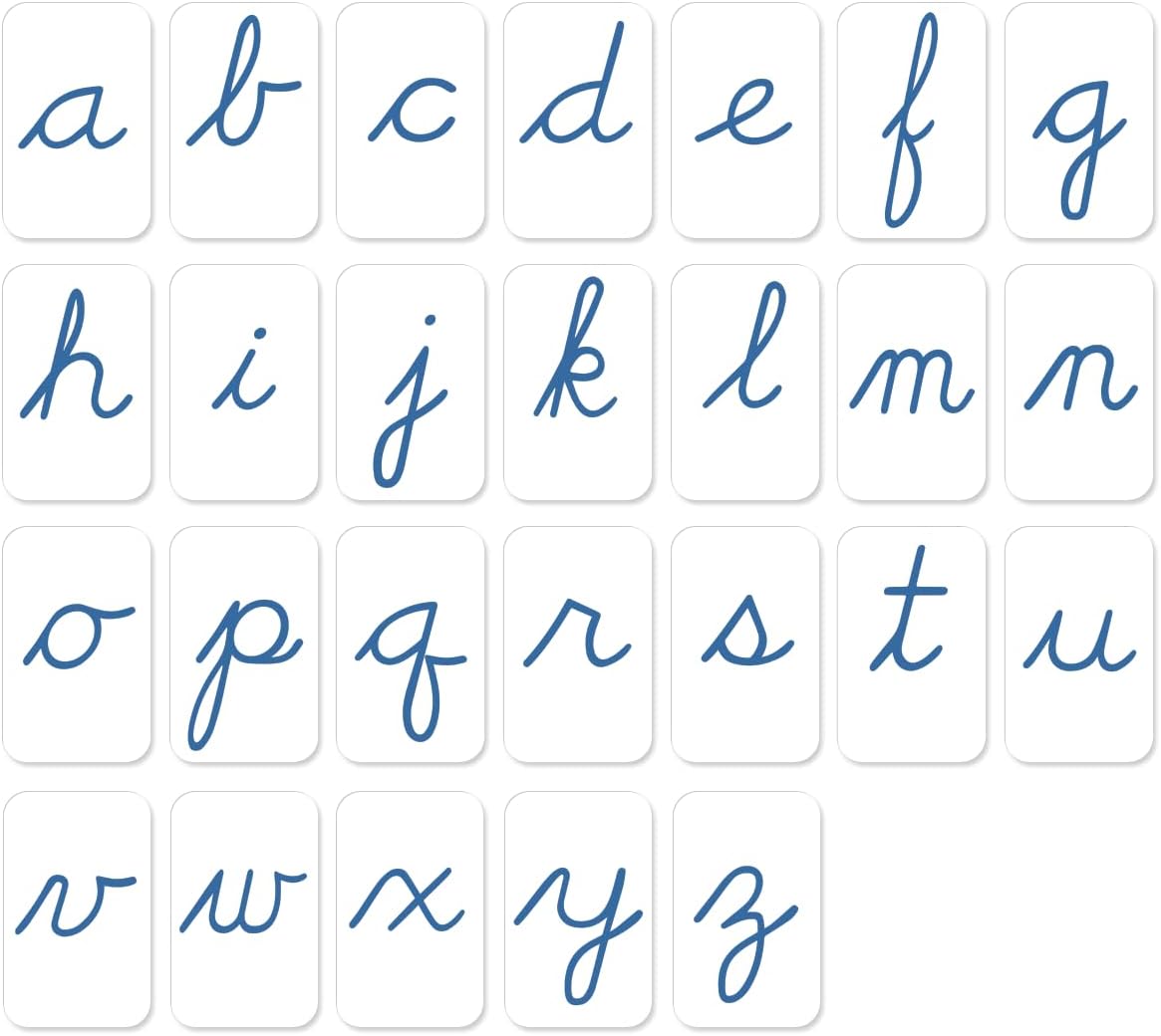 Amazon.com: Montessori Blue Solid Color Movable Alphabets for Spelling ...