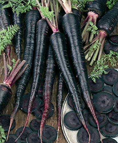 SimXotic Carrot Black Vegetables Seeds (100 Seeds( : Amazon.in: Garden ...