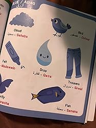 My first picture book English Arabic, 250 words of everyday life ...