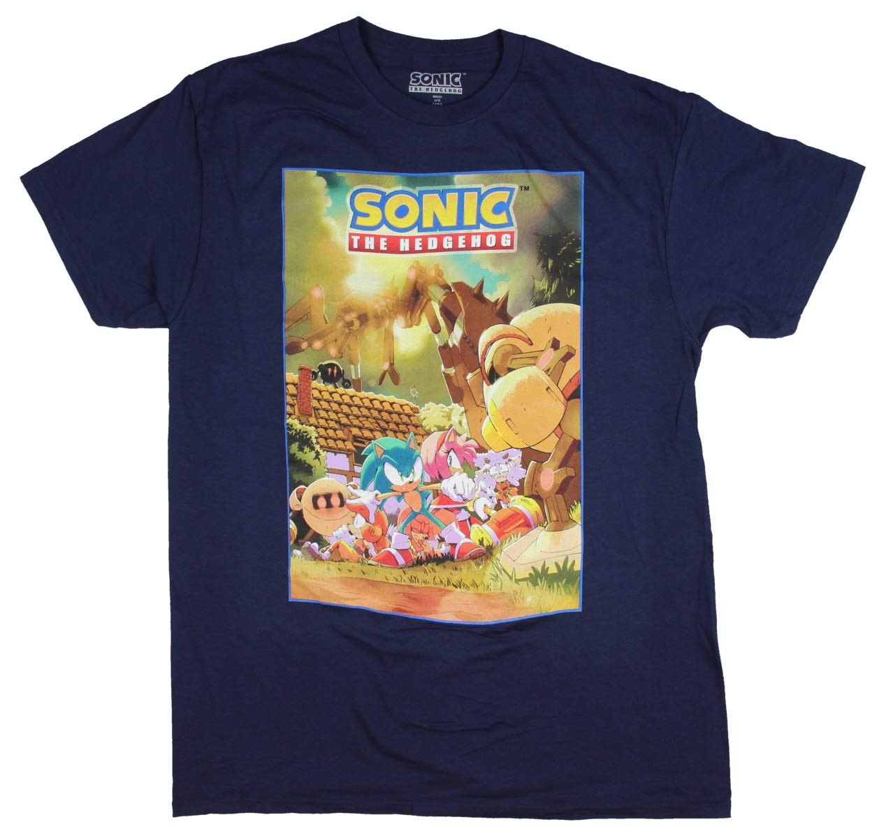 Buy Sonic Hedgehog Shirt Costume Men's Graphic Sonic Amy Rose Tails Tee XLT Online at ...