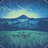 【発売日：2022年12月31日】・製造元:The Mystical Farrey