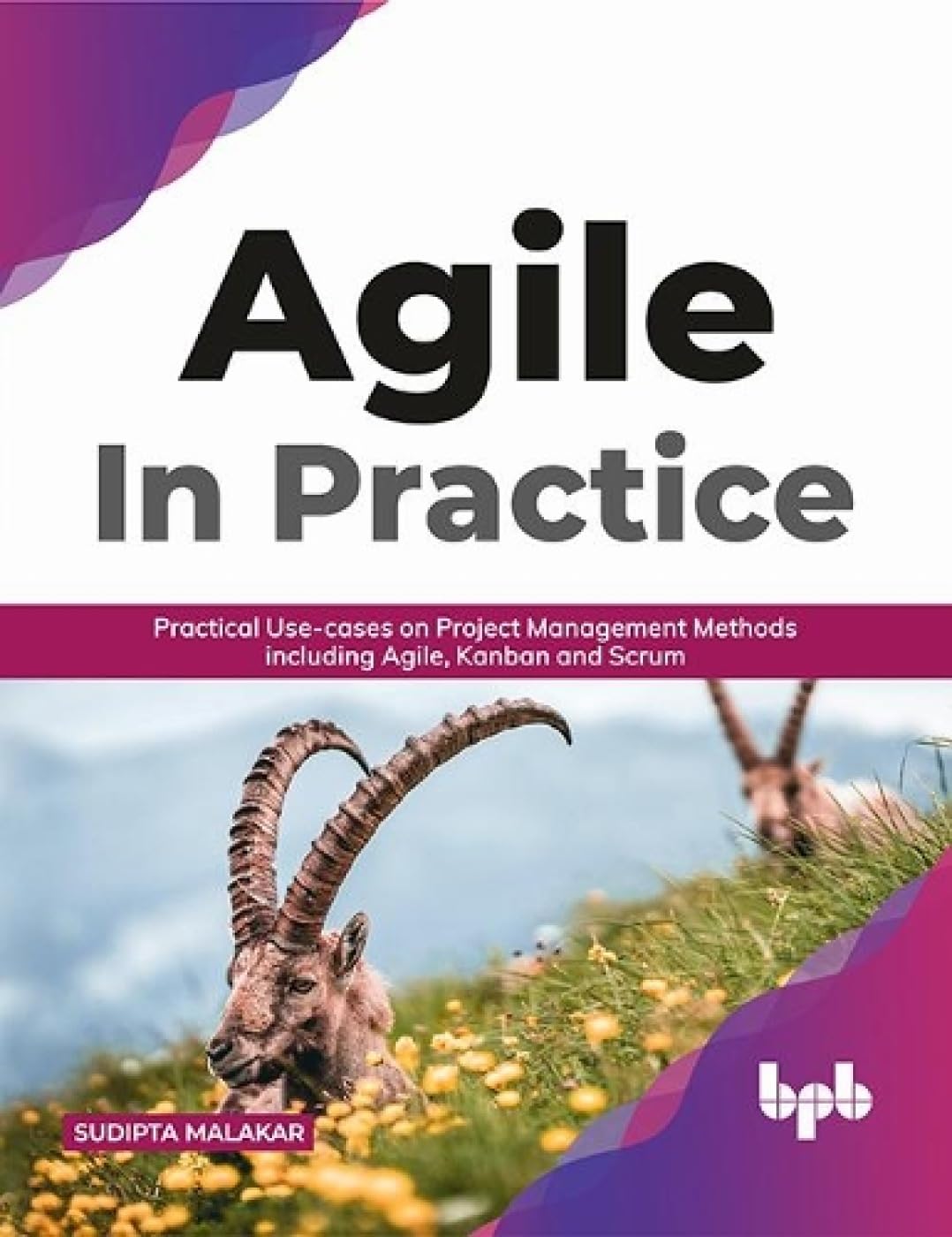 AGILE in Practice: Practical Use-cases on Project Management Methods ...