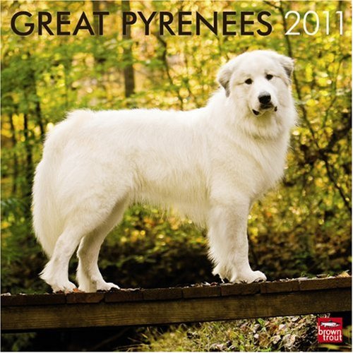 Great Pyrenees 2011 Calendar: BrownTrout Publishers Inc: 9781421663333 ...