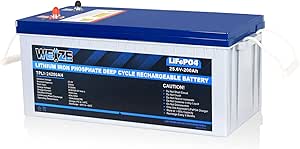 Amazon.com: WEIZE 24V 200AH LiFePO4 Lithium Battery, Built-in 100A ...