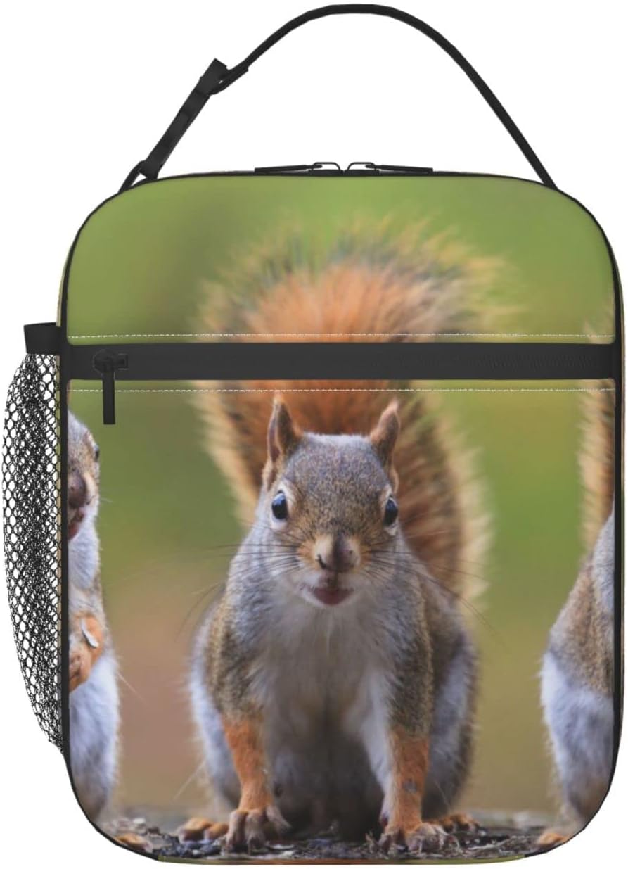 Cute Squirrels Lunch Bag,Durable Insulated Lunch Box,Reusable Adults ...
