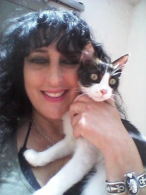 Amazon.com: Monica O Reilly: books, biography, latest update