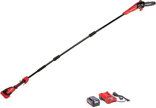 Amazon.com : POWERWORKS XB 40V 8-Inch Cordless Polesaw, 2.0Ah Battery ...