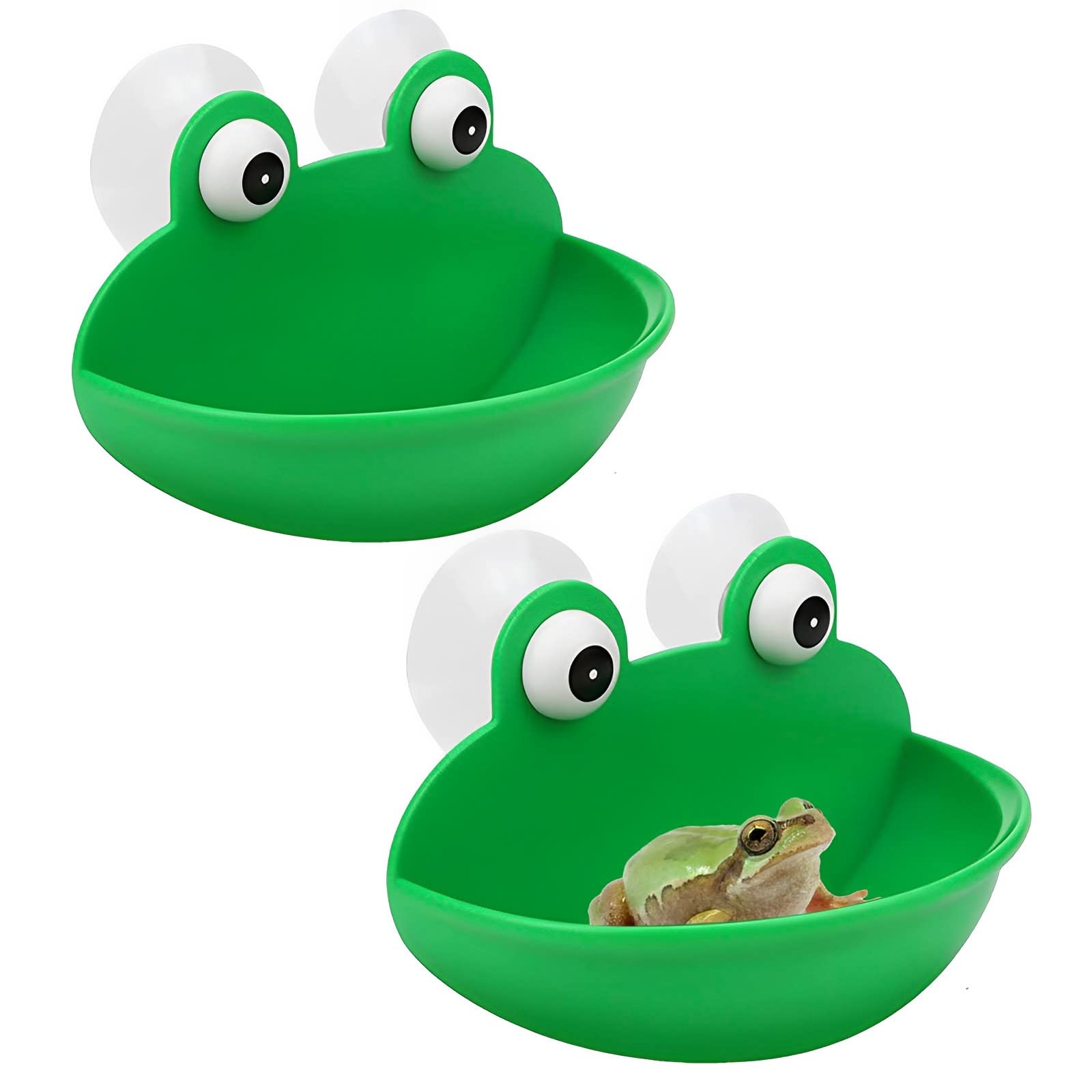 Amazon.com: Sankoly 2 Pieces Frog Habitat with Suction Cup Lovely ...
