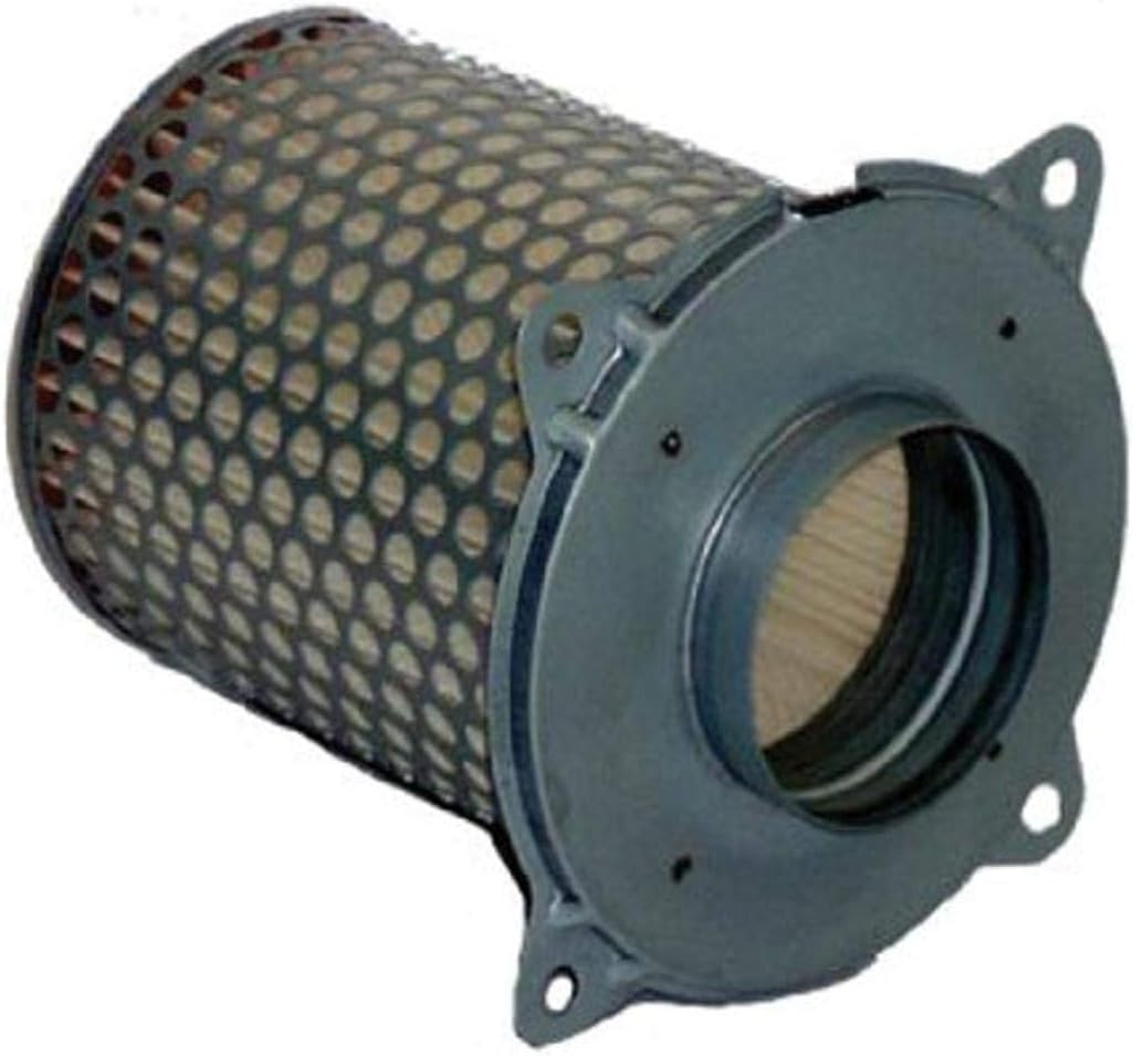 Amazon.com: Hiflofiltro HFA4609 Premium OE Replacement Air Filter ...