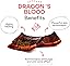 Amazon Andes Dragons Blood Organic Liquid Extract Sangre De Drago ...