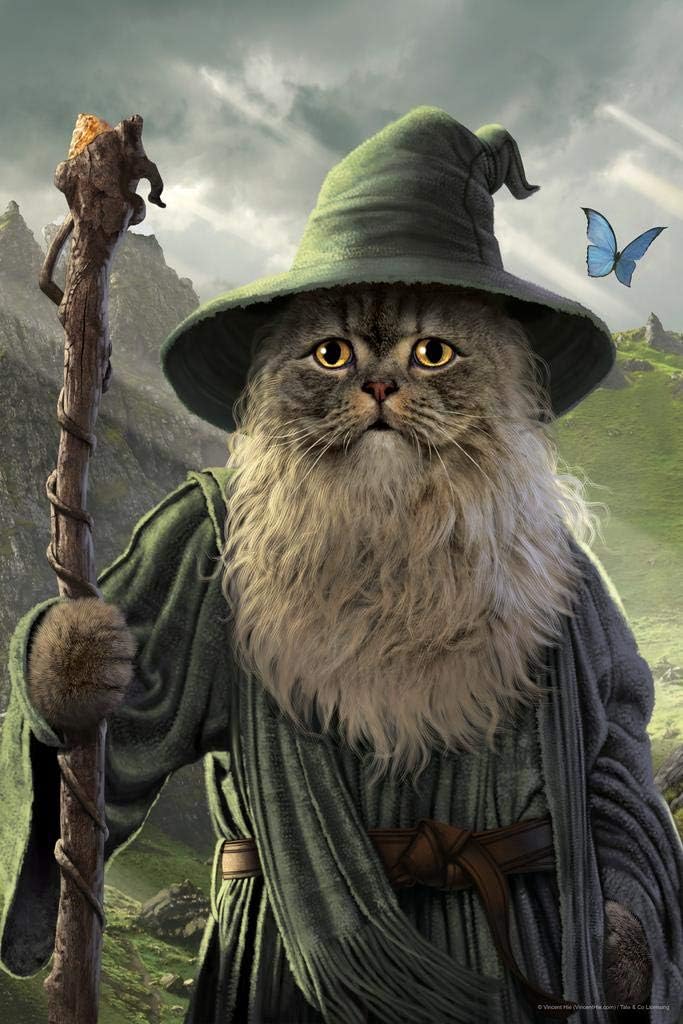 Amazon.com: Catdalf Wizard Cat Animal Mashup by Vincent Hie Fantasy ...