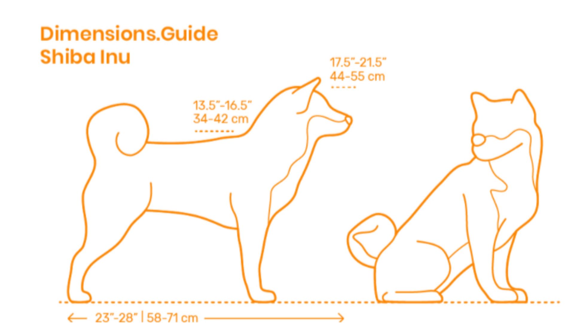 Shiba Inu Guide - App on Amazon Appstore