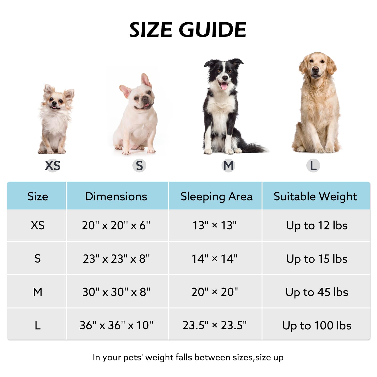 Snapklik.com : JOEJOY Donut Cat Beds For Indoor Cats, Round Calming ...