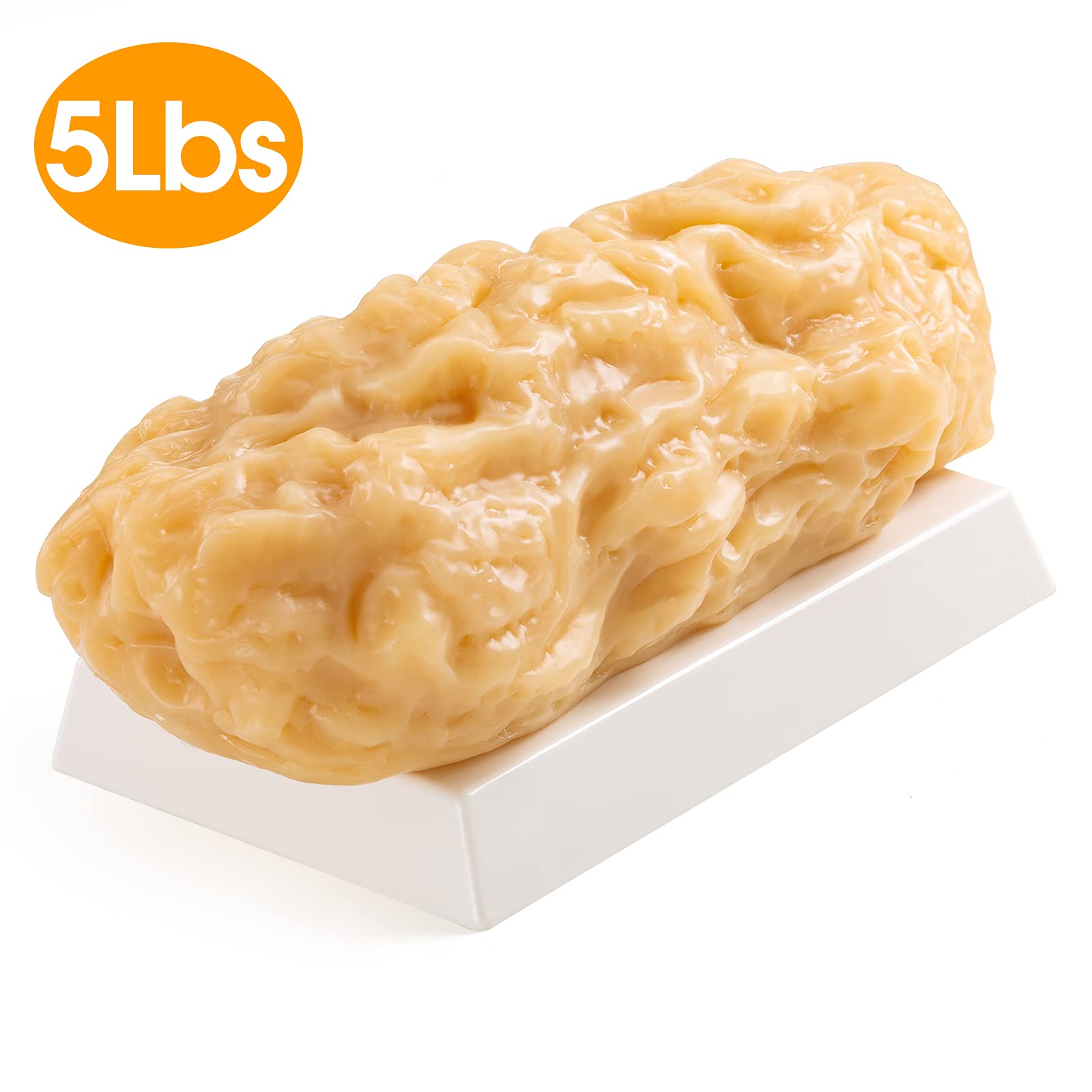 Snapklik.com : 5 Lbs Human Body Fat Model, Fat Replica, Anatomical ...