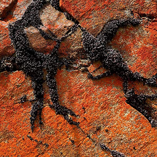 Play Time Always Moving by Zack Steinkamp on Amazon Music