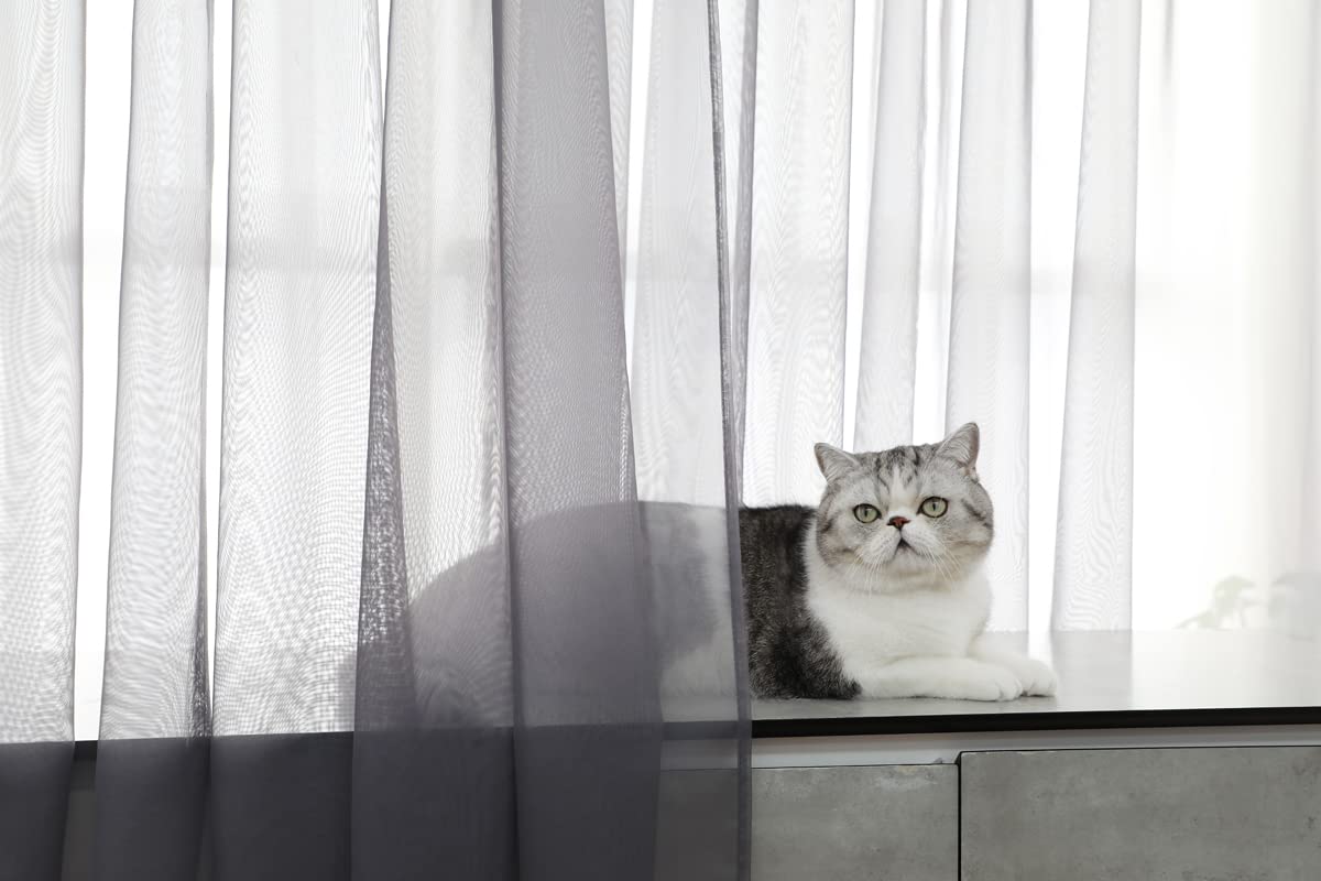 Kmart Blinds For Windows
