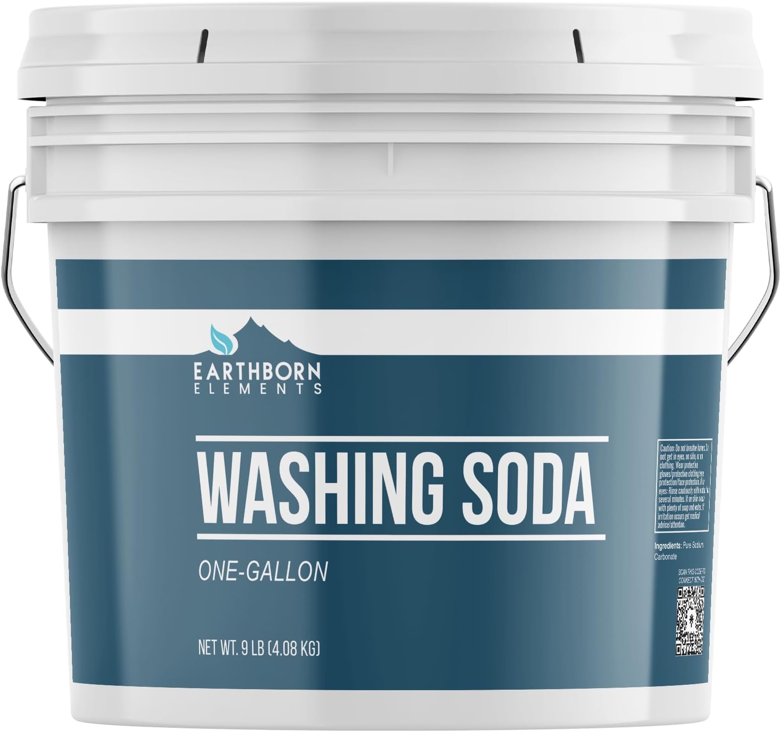 Amazon.com: PURE ORIGINAL INGREDIENTS Washing Soda & Borax Bundle, 1 ...