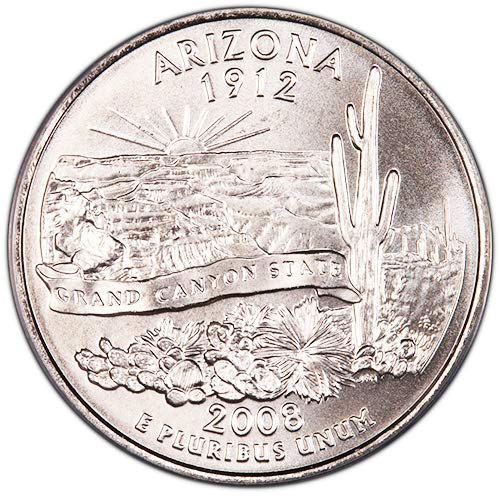 Amazon.com: VERSAINSECT n Finish Arizona State Quarter Choice ...