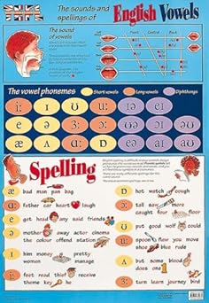 The Sounds and Spellings of English Vowels Pronunciation Poster (TEFL ...