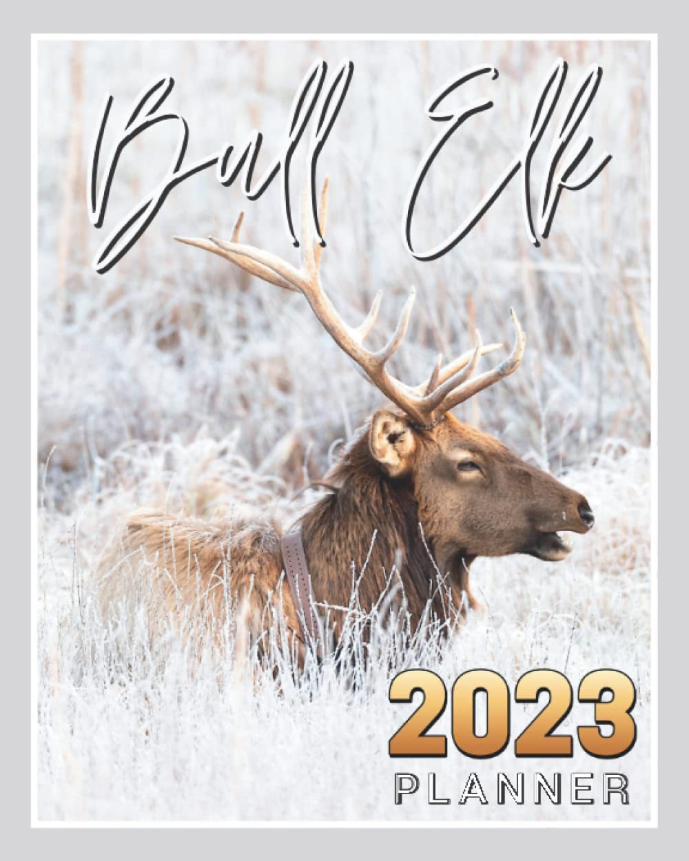 Bull Elk Planner 2023: Jan 01 - Dec 31, 1 Year, Daily, Weekly And ...