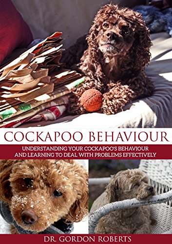 Cockapoo Behaviour: Understanding Your Cockapoo's Behaviour and ...