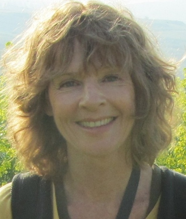 Amazon.co.uk: Linda Caddick: books, biography, latest update