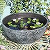 Amazon.com : Sungmor Large Garden Bowl Planter Water Plant Pot ...