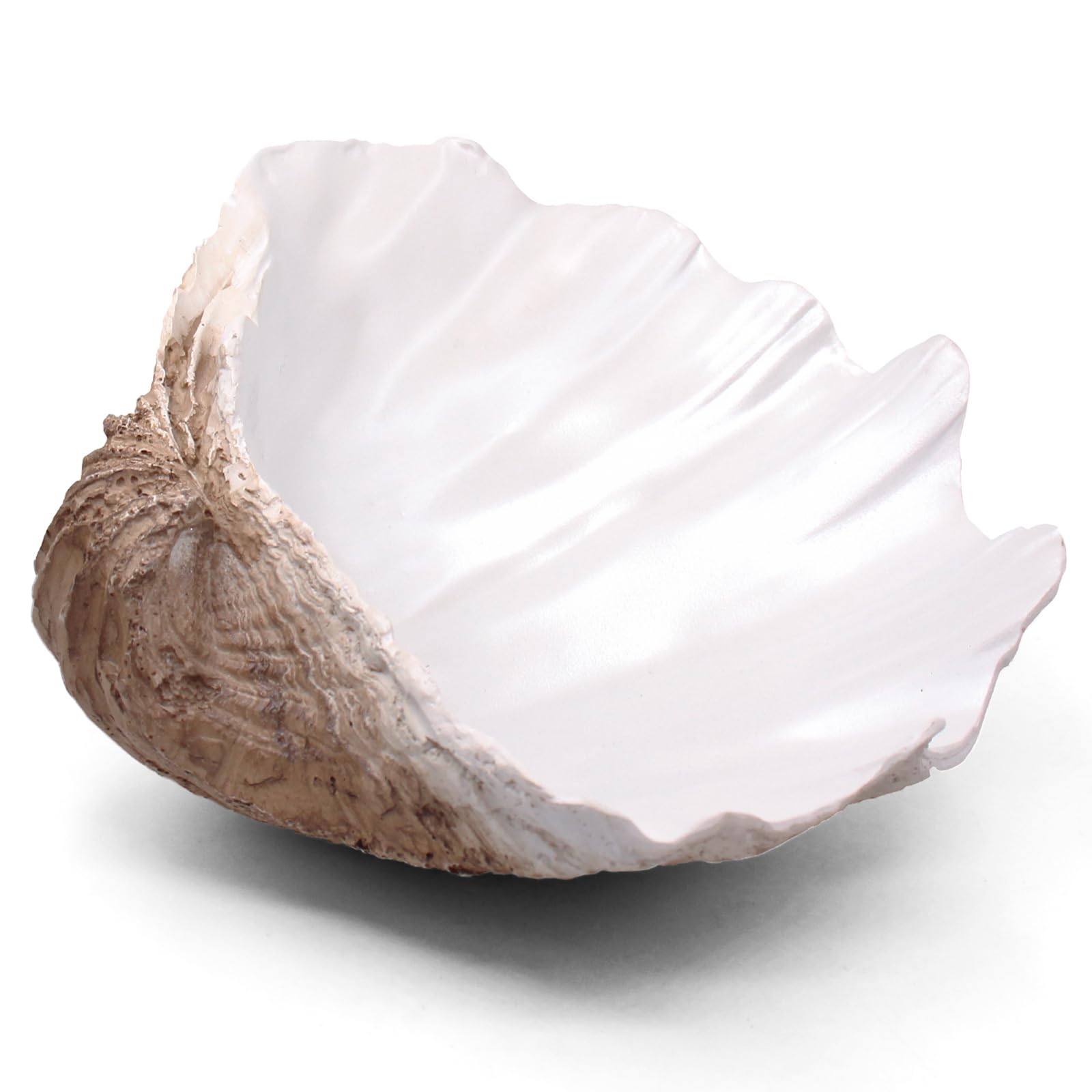 Amazon.com: Extra Large Clam Shells Decorative Bowl Earth Tan Sea ...